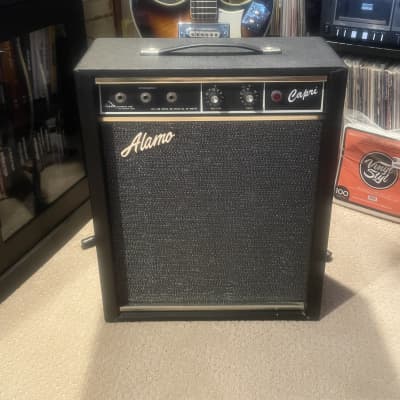 Alamo Fury Bass Amp 1963/4 | Reverb