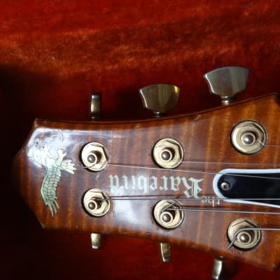 1993 Rarebird The Osprey Custom handmade by Bruce Clay - very | Reverb
