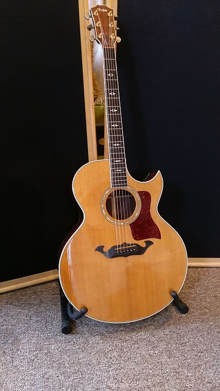 Taylor 815-C Cutaway Acoustic | Reverb
