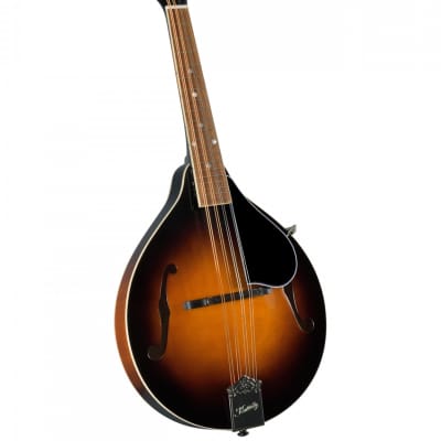 Kentucky KM-150 Standard A-Model Mandolin – Vintage Sunburst | Reverb