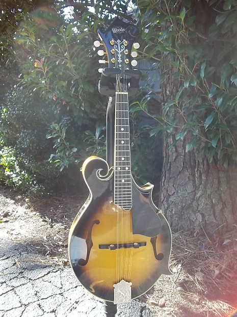 Samick The Woods F Style Mandolin~Brown | Reverb