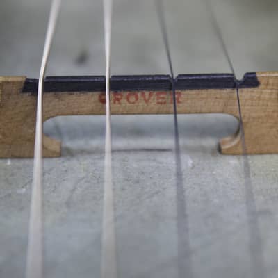 Vintage Washburn 815 Tango Melody Banjo 1914 w/OHSC | Reverb