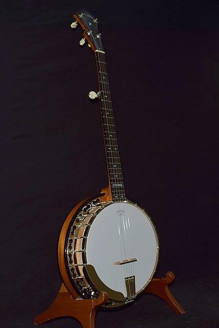 NEW Stelling Afton Star Banjo - Made in the USA! | Reverb