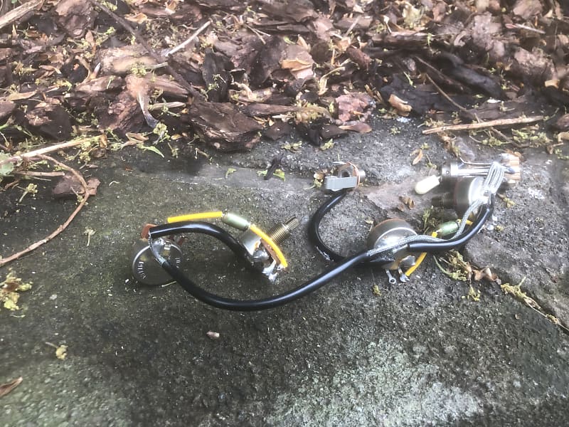 1976 Gibson 335 wire harness (loom, pots, switch) | Reverb