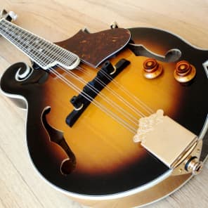 Fender FM-63SE F Style Acoustic Electric Mandolin Sunburst w/ | Reverb