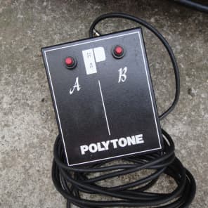 Polytone Taurus Elite Amplifier/PA | Reverb