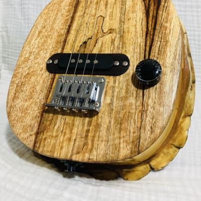 Turtle Shell Electric Tenor Guitar- mango top | Reverb