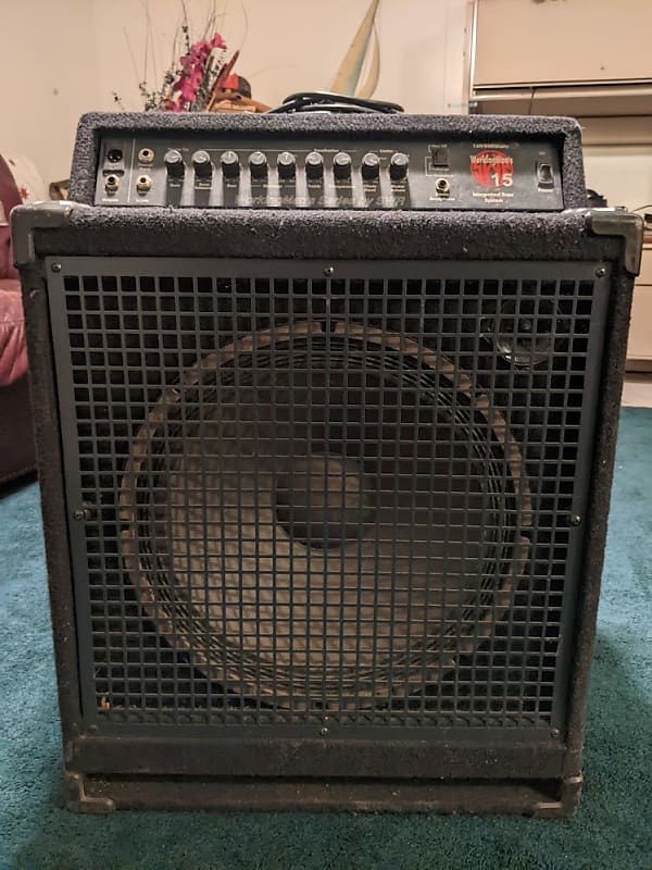 SWR Workingman's 15 200 watt Bass combo amp | Reverb