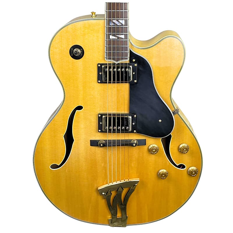 Washburn Montgomery J-6S Hollowbody Guitar W/HSC (Used) | Reverb