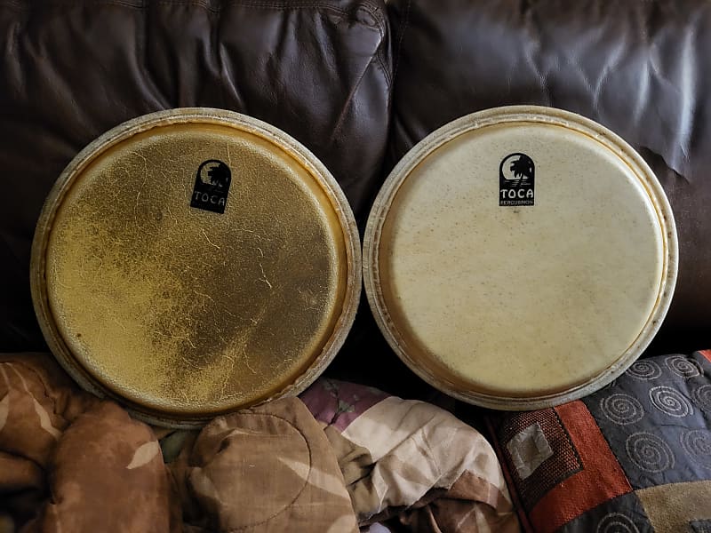 Toca conga heads | Reverb
