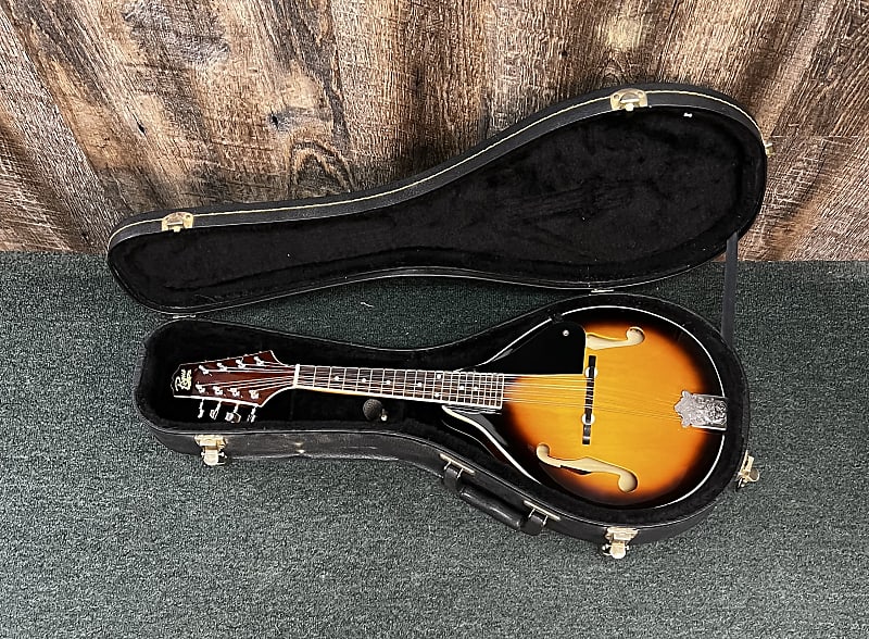 Rogue Mandolin | Reverb