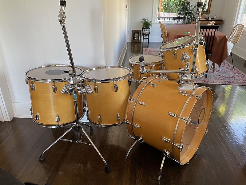 Ludwig Modular 1980 Thermogloss | Reverb