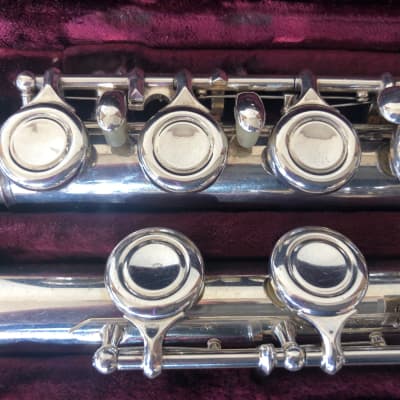 Buffet Crampon Flute w/Case | Reverb
