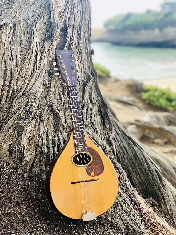 Martin CF Martin Mandolin 1953 Natural | Reverb UK