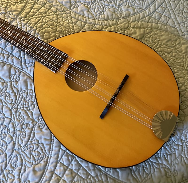 GOLD TONE GM-10 FLAT-TOP FRYPAN MANDOLIN WITH CASE | Reverb