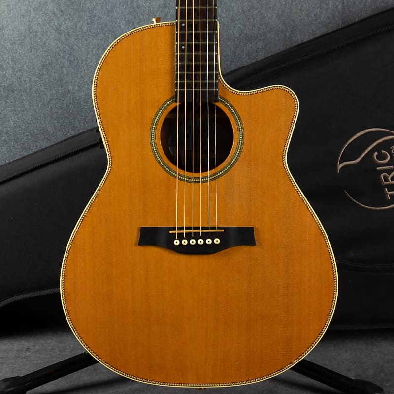 Seagull Artist Mosaic CW Folk Deluxe - Soft Case - 2nd Hand | Reverb