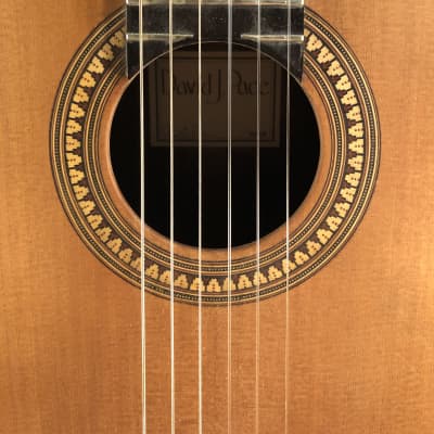 2010 David Pace "Double Top" Classical Guitar | Reverb