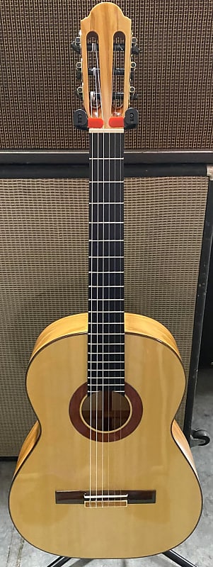 Lyon and Healy Val Di Fiemme - Includes Acus Phantasma Preamp | Reverb