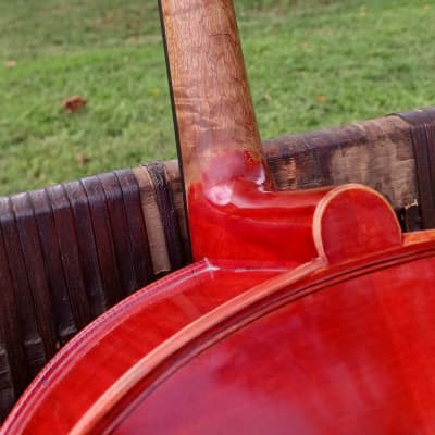 1971 Franco Barozzi violoncello da spalla | Reverb