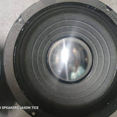 8" 16 OHM SPEAKERS 2 AVAILABLE DB DRIVE G2 *READ THE | Reverb