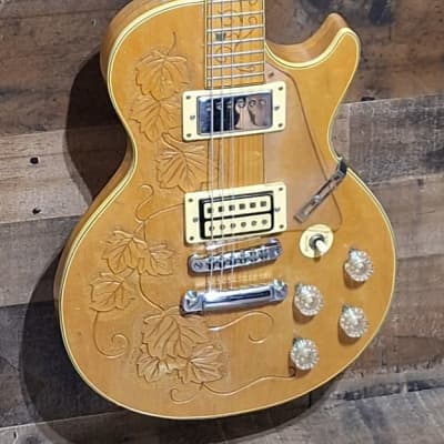 1974 Electra 2258 "Tree Of Life" Les Paul Custom | Reverb Australia