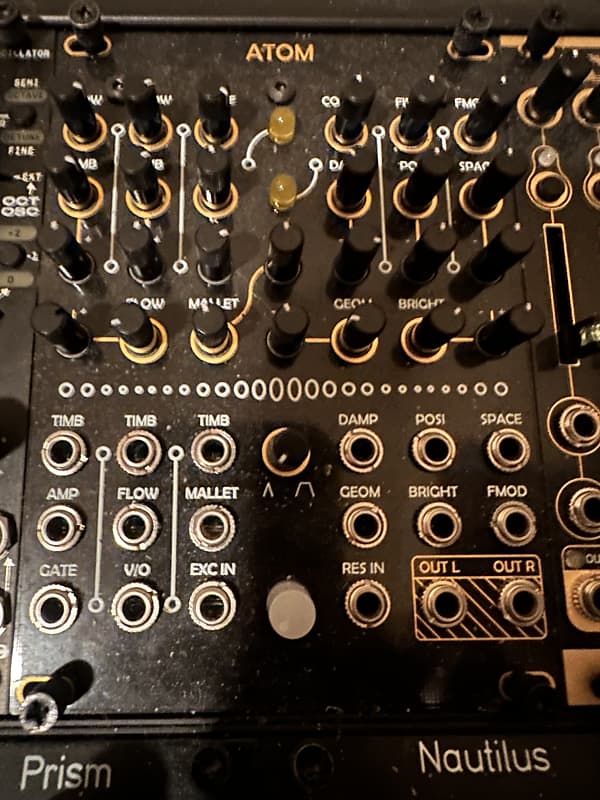 After Later Audio Atom 2021 - Black | Reverb