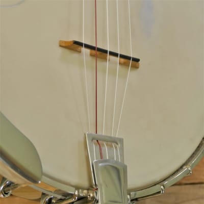 Gibson RB-170 Vintage 1960's Banjo - Setup with Nylon Strings | Reverb