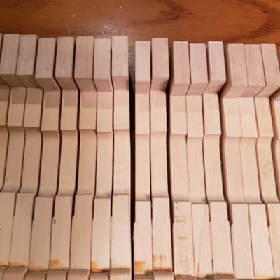 88 Mint unused Fender Rhodes keys for the 88 or 73 key | Reverb
