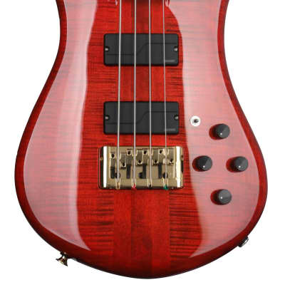 Spector Euro4 LT Rudy Sarzo Fishman Fluence Pickups Scarlett | Reverb