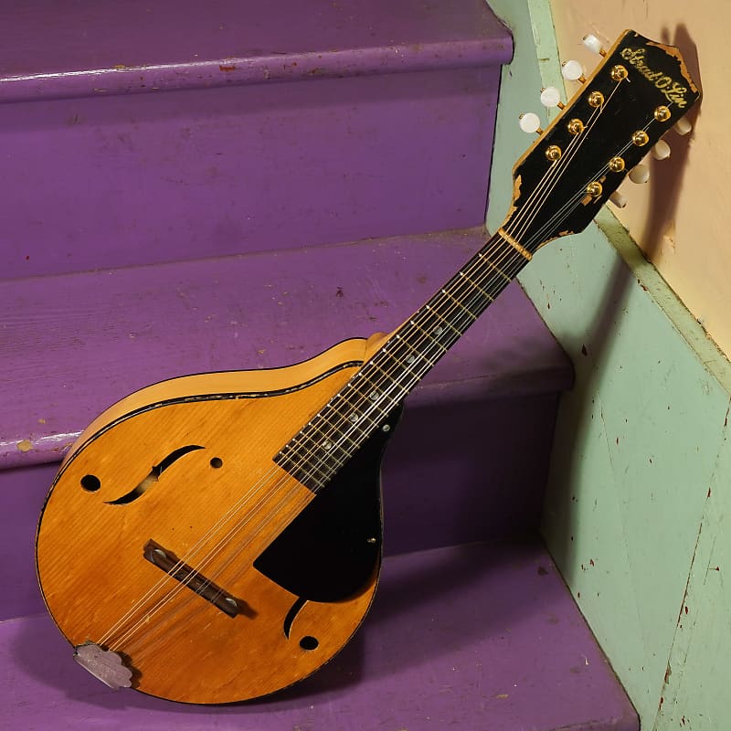 1950s Strad-O-Lin Stradolin A-Style Archtop Mandolin w/K&K | Reverb