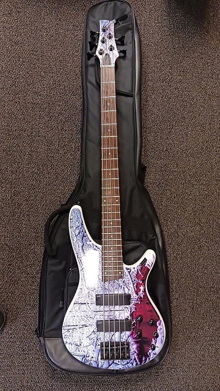 Ibanez SR305B Mid-2000's - Custom Skin/Pearl White, Plek, | Reverb