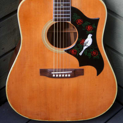 Takamine Elite TW-40 Brazilian Rosewood Dreadnought Size | Reverb
