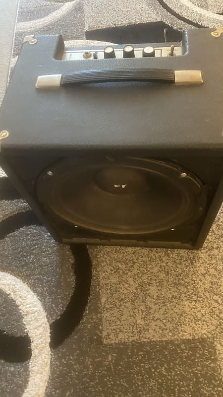 Polytone Mini Brute 1970’s - Black tolex | Reverb