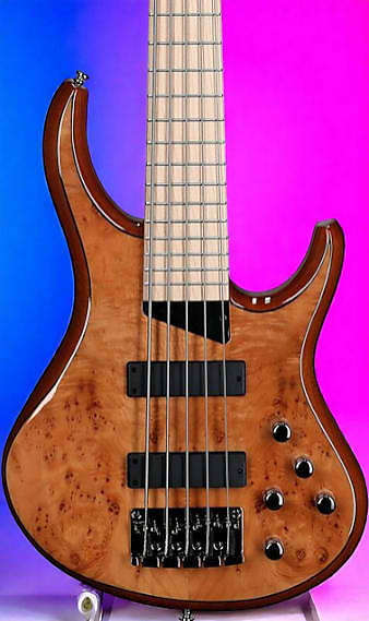 MTD Kingston Z5MP Electric Bass, 5-String (with Maple | Reverb