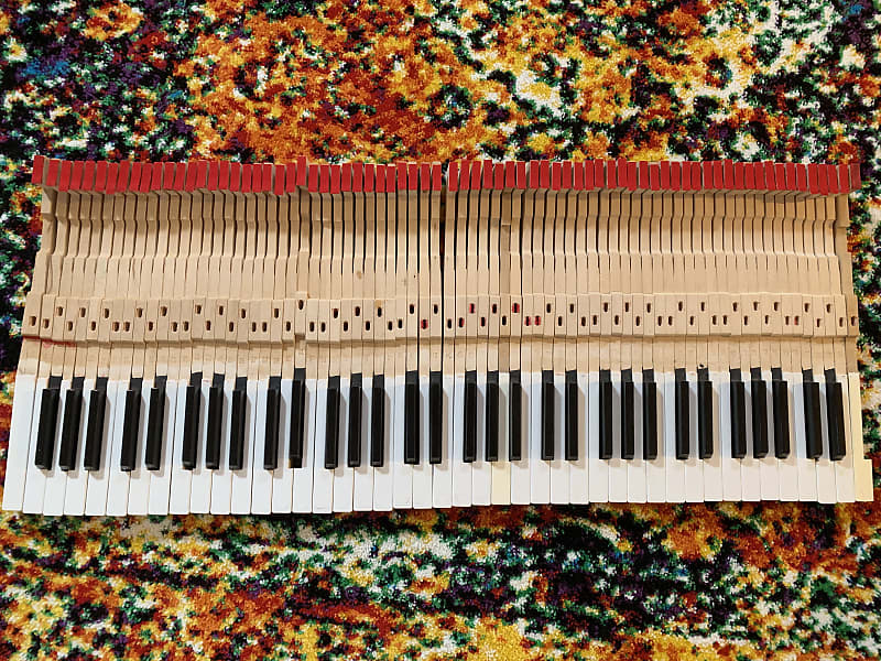 Set of 73 Wooden Vintage Rhodes keys | Reverb