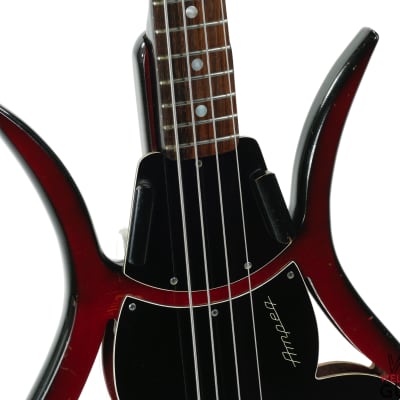1960s Ampeg Devil Bass ASB-1 | Reverb