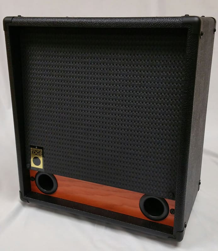 Raezer's Edge Stealth 12 Guitar Speaker Cabinet (Includes | Reverb