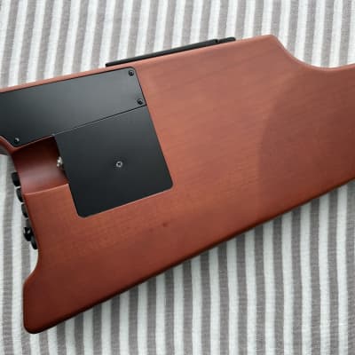 NOS Steinberger Synapse XS-15FPA Custom HEADLESS 5-string | Reverb