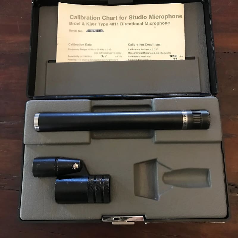 DPA (Bruel & Kjaer) 4011 Small Diaphragm Cardioid Condenser | Reverb