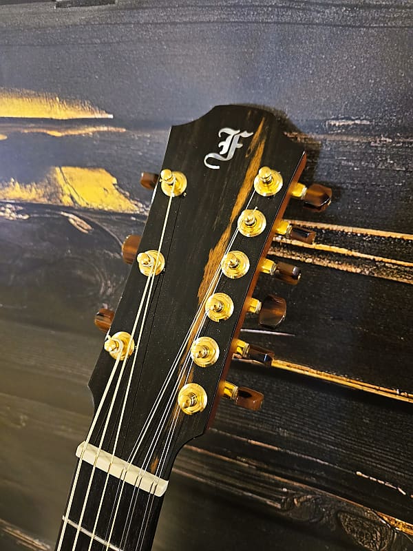 Furch D23-SR9 Acoustic Guitar, 9-String + LR Baggs Stage Pro | Reverb