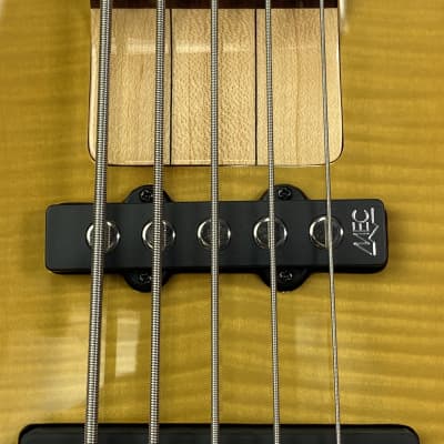Warwick RockBass Infinity 5 String Bass Natural Transparent | Reverb
