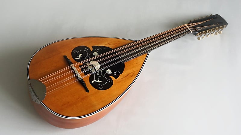 Octaviola - 12 string Mandola circa 1920s | Reverb