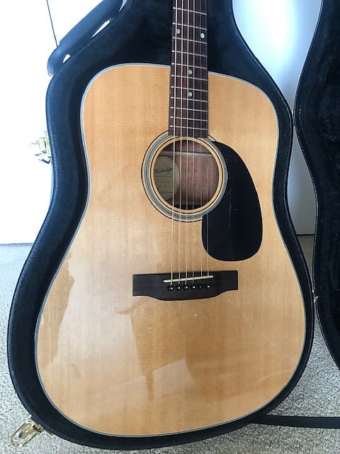 Blue Ridge Acoustic Dreadnaught, hard case, strap | Reverb