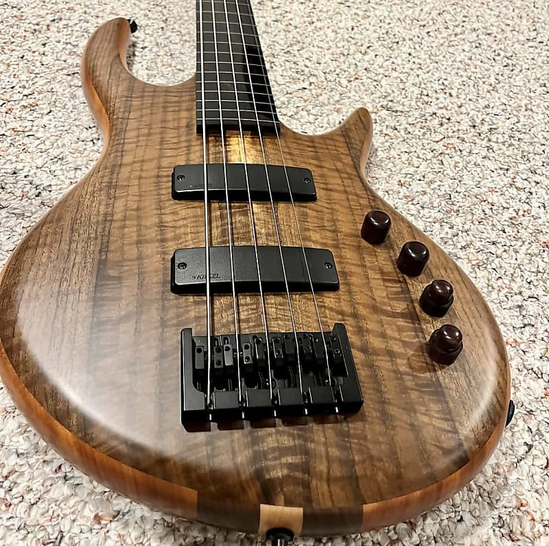 Fretless Bass guitar | Reverb