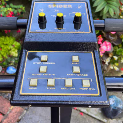 EDP Wasp Deluxe & Spider | Reverb