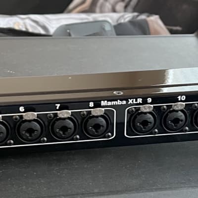Mamba XLR Combo Patch Bay with XLR + TRS + TS inputs/outputs | Reverb