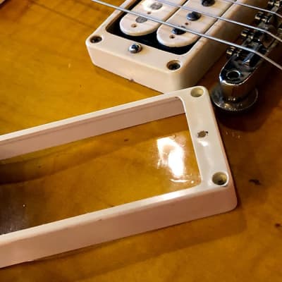 CreamTone M-69 Butyrate Pickup Rings for Gibson Guitars • | Reverb