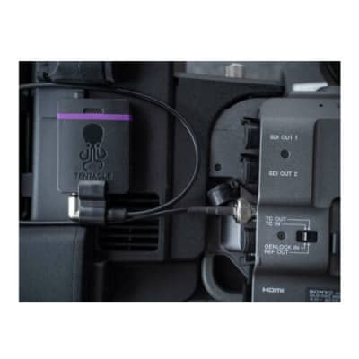 Tentacle Sync E MKII (Standard Set) | Reverb