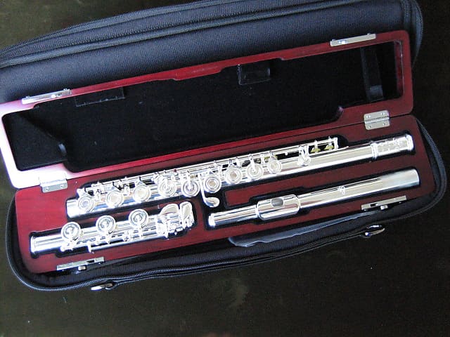 New Di Zhao/Dizhao DZ700BEF / DZ801BEF Flute, Silver | Reverb