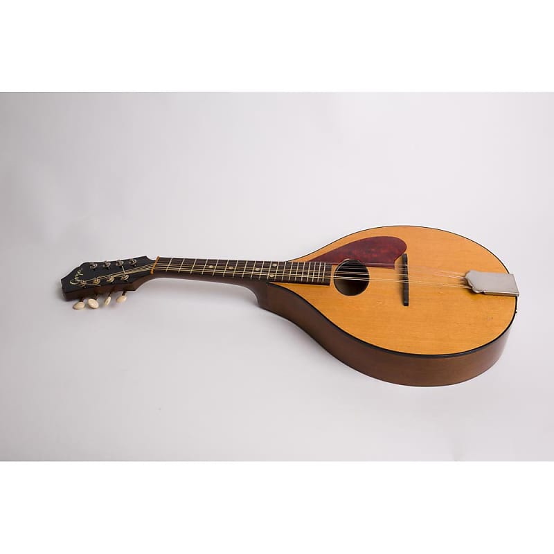 Vintage Goya MA-6 Mandolin, c.1965 | Reverb